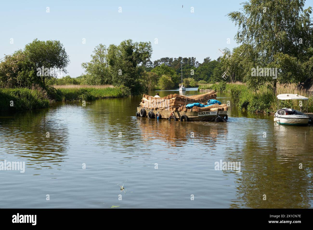 Reedcutters transporting reed bundles in a traditional Norfolk Broads ...