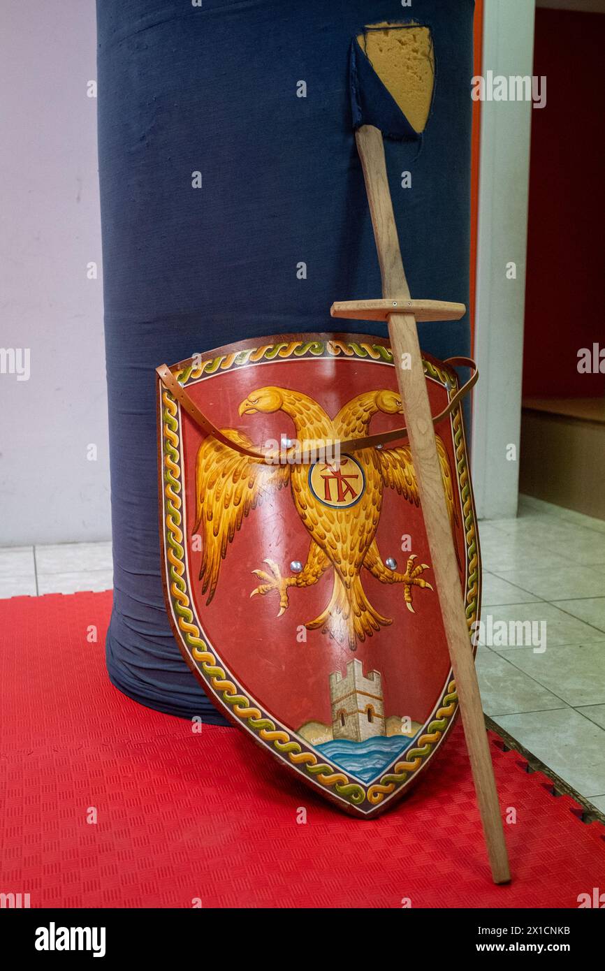 A wooden sword and shield with a coat of arms in the Piree sword ...