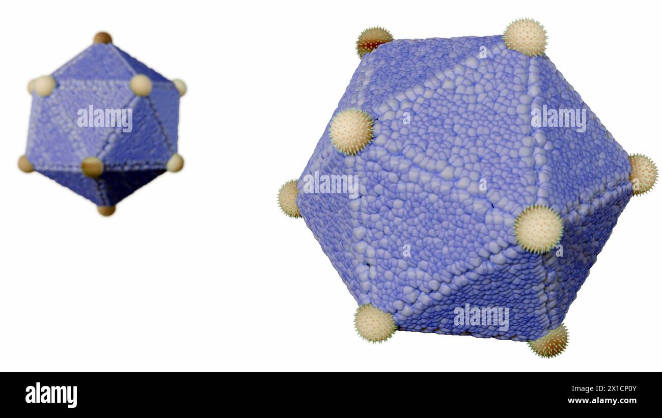 3d rendering of The icosahedral structure of viruses. Viruses with an ... 3d rendering of The icosahedral structure of viruses. Viruses with an ...