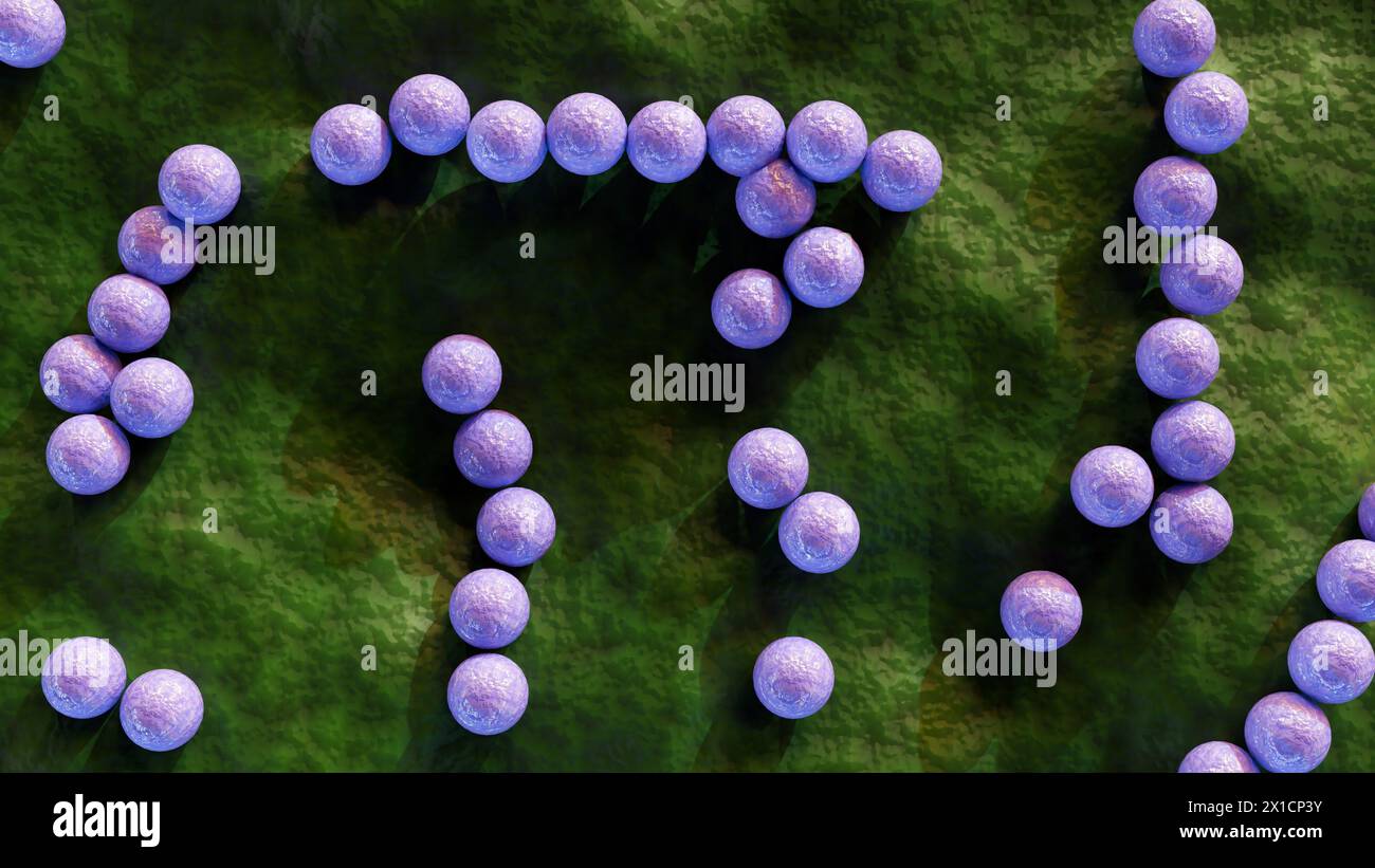 3d rendering of streptococcus, is spherical bacterium that belong to ...