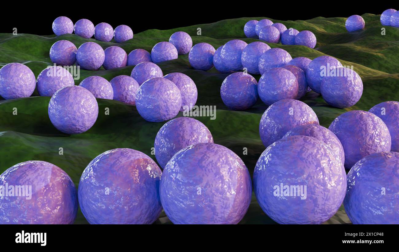 3d rendering of streptococcus, is spherical bacterium that belong to ...