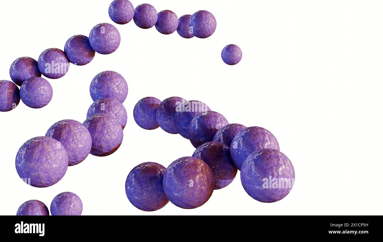 3d rendering of streptococcus, is spherical bacterium that belong to ...