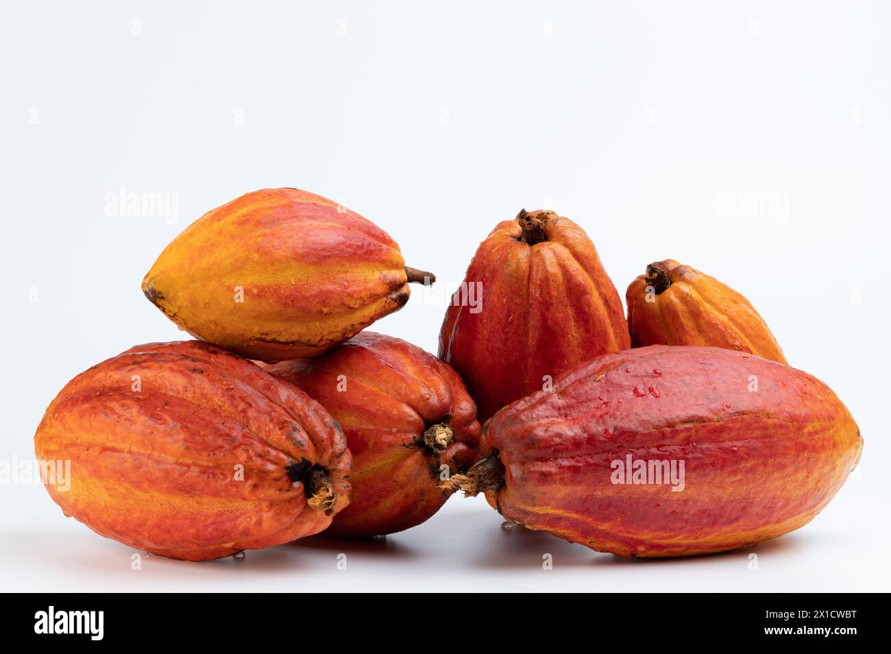 Dark orange color cacao pods lay isolated on white studio background ...