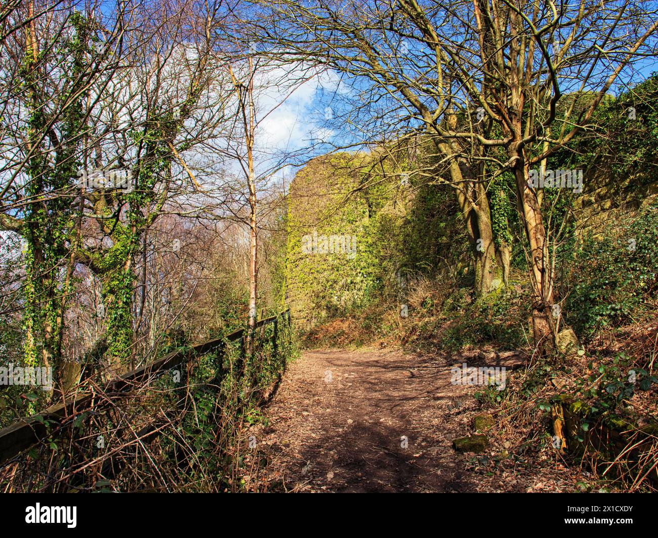 The pathway and woodland next to Lower Rivington Reservoir, with the ...