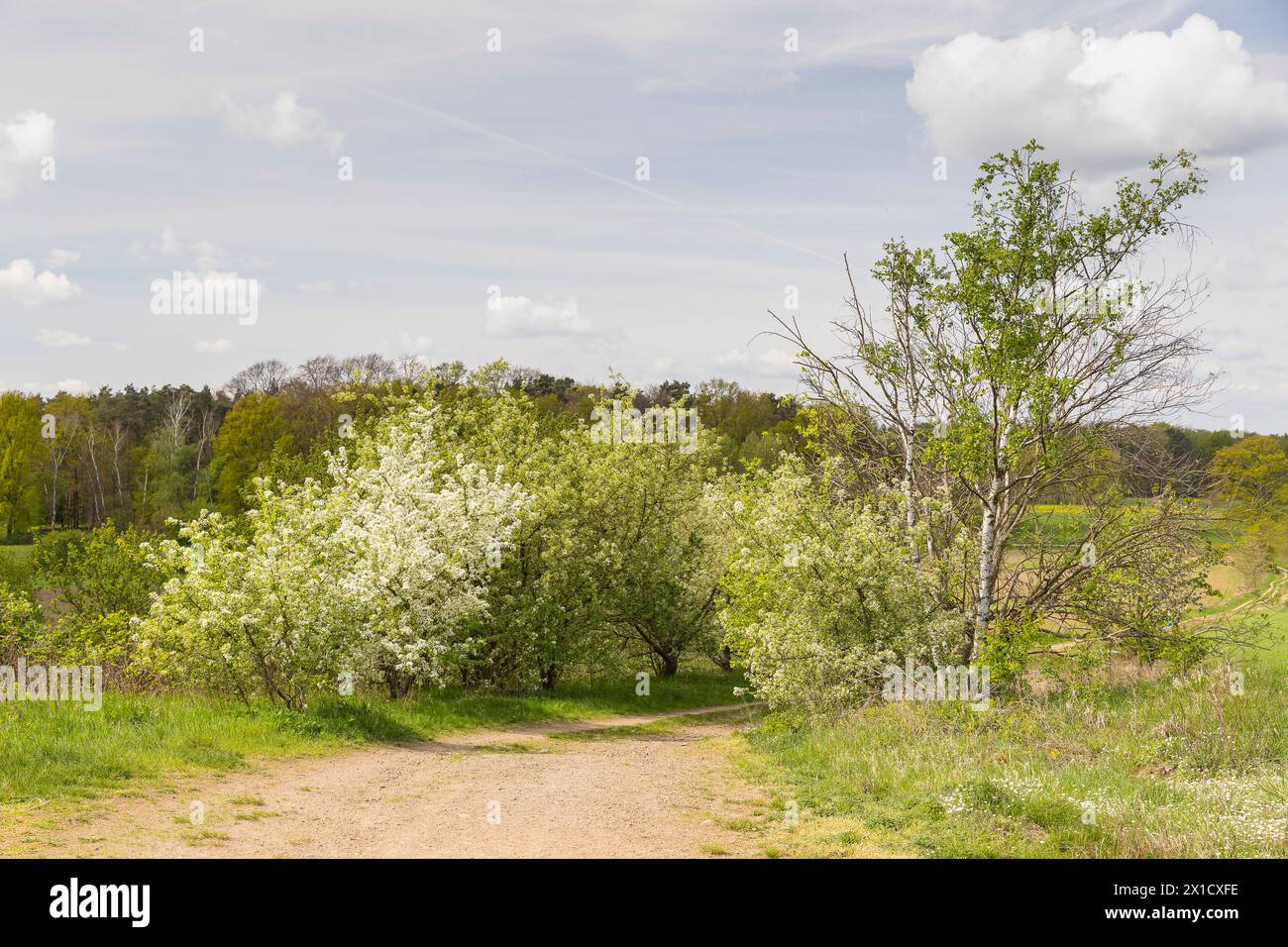 Karrasrundweg am Pferd mit Ausblick auf Wiesen und Weiden um Moritzburg ...