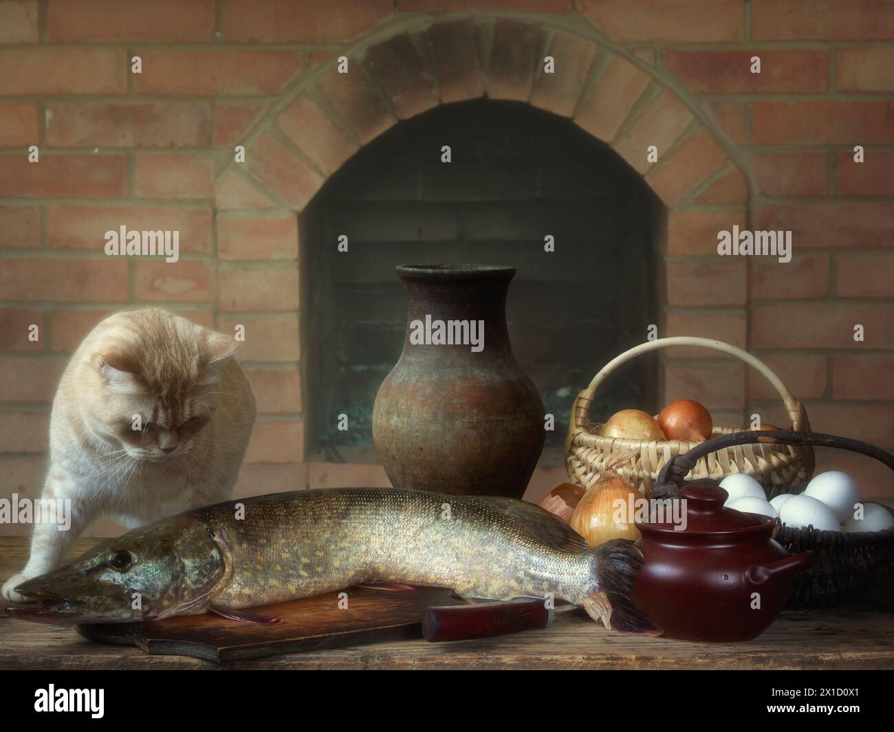 Red scottish cat and big pike fish Stock Photo - Alamy