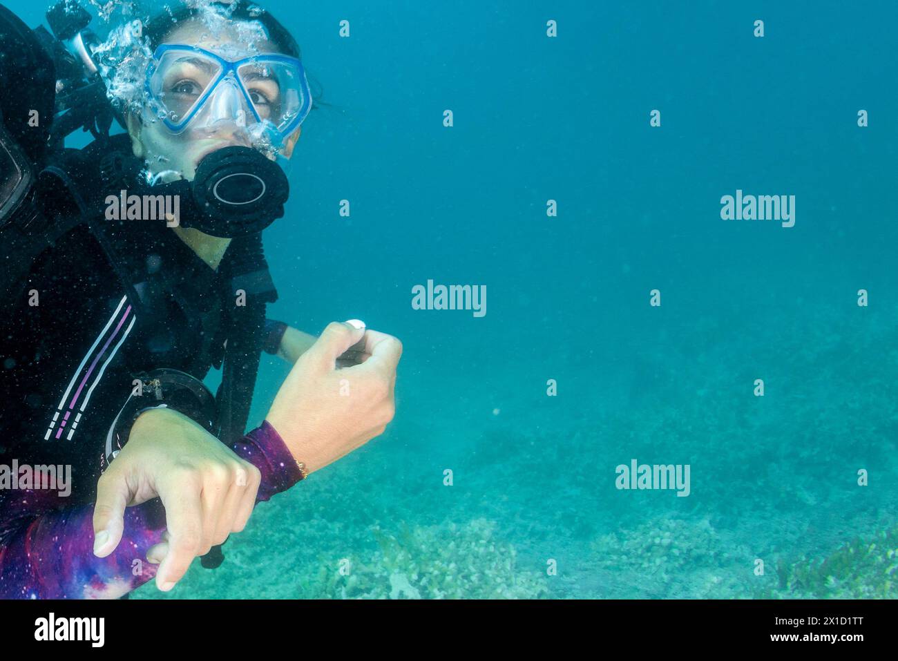Australia scuba diving woman diver hi-res stock photography and images ...