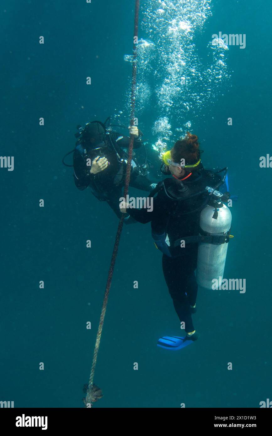 Scuba diving safety stop hi-res stock photography and images - Alamy