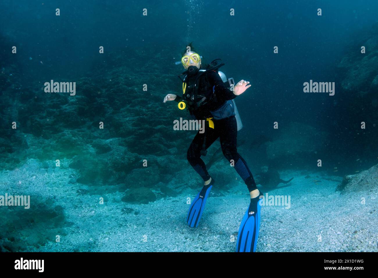 Australia scuba diving woman diver hi-res stock photography and images ...