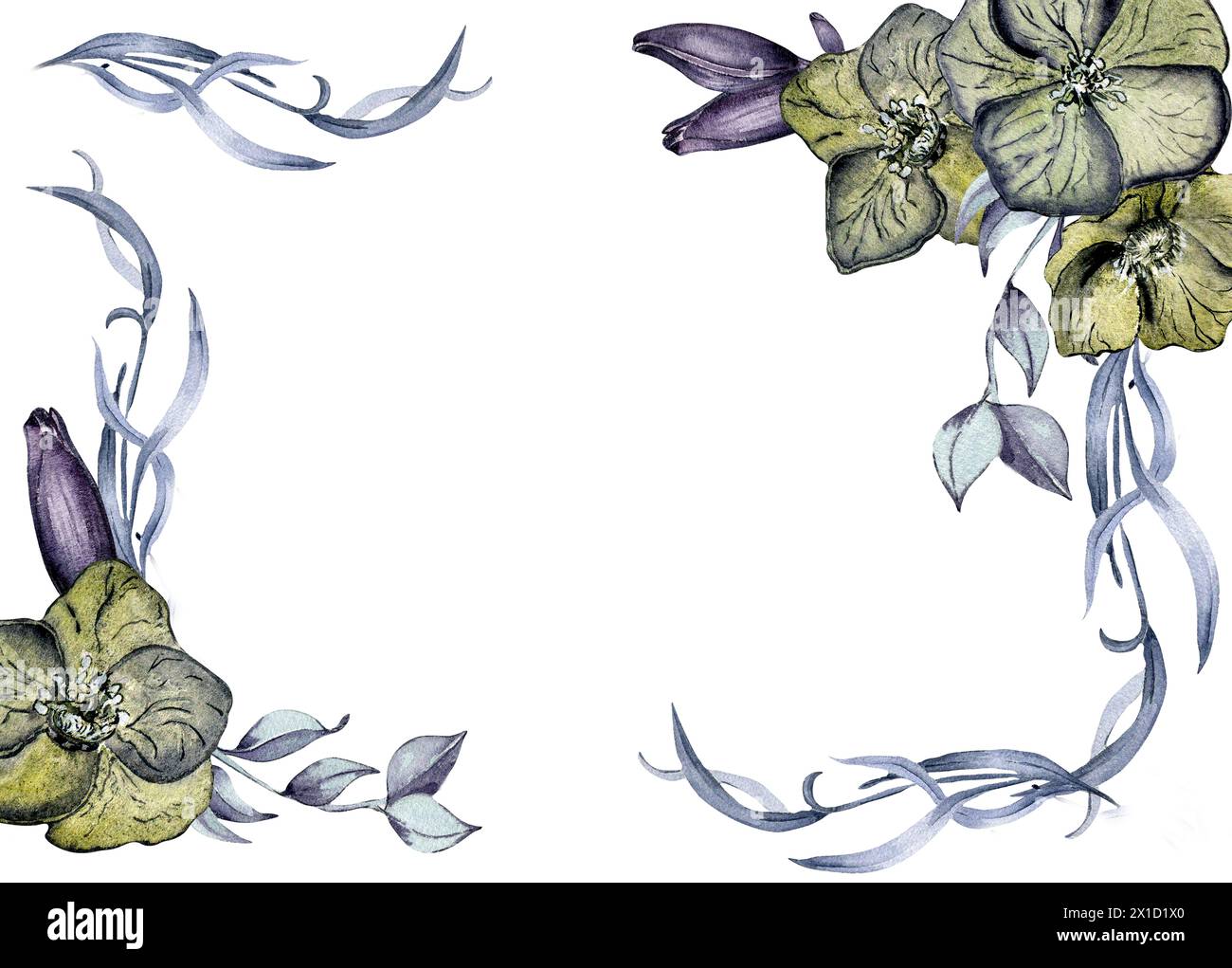Gothic floral border hand drawn. Dark green flowers and foliage ...