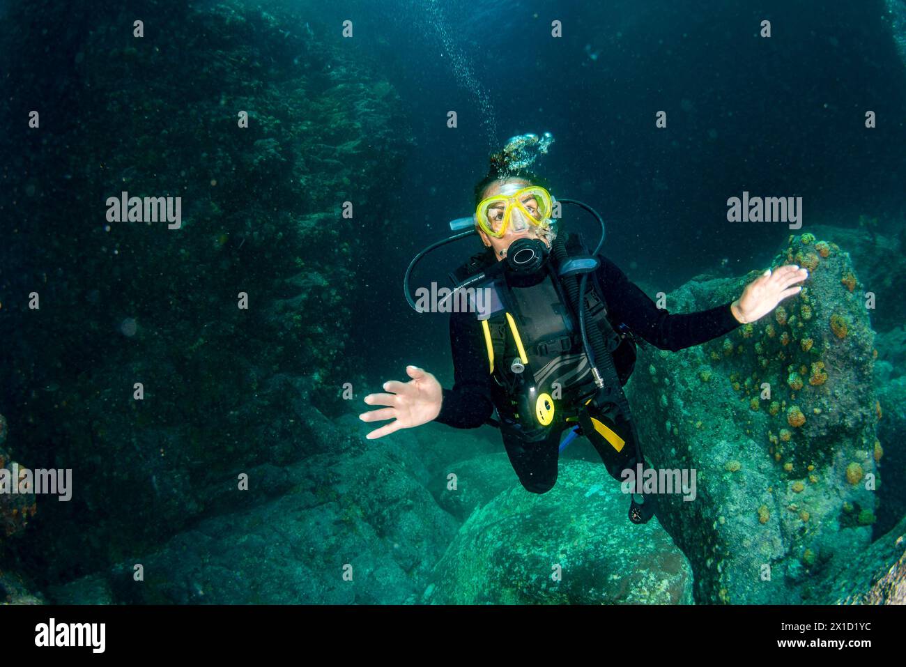 Australia scuba diving woman diver hi-res stock photography and images ...