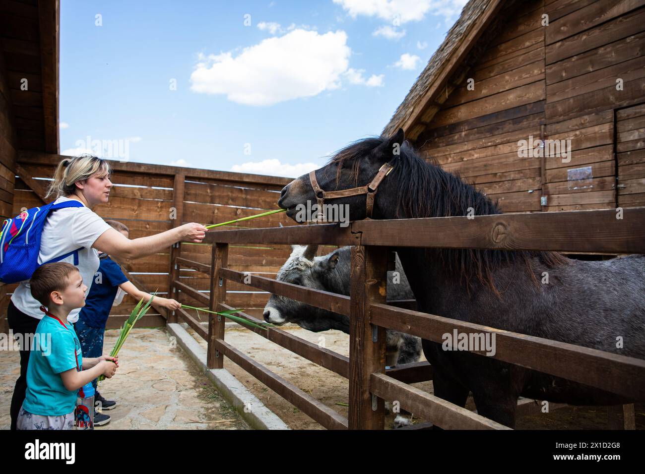 Mali dunav hi-res stock photography and images - Alamy
