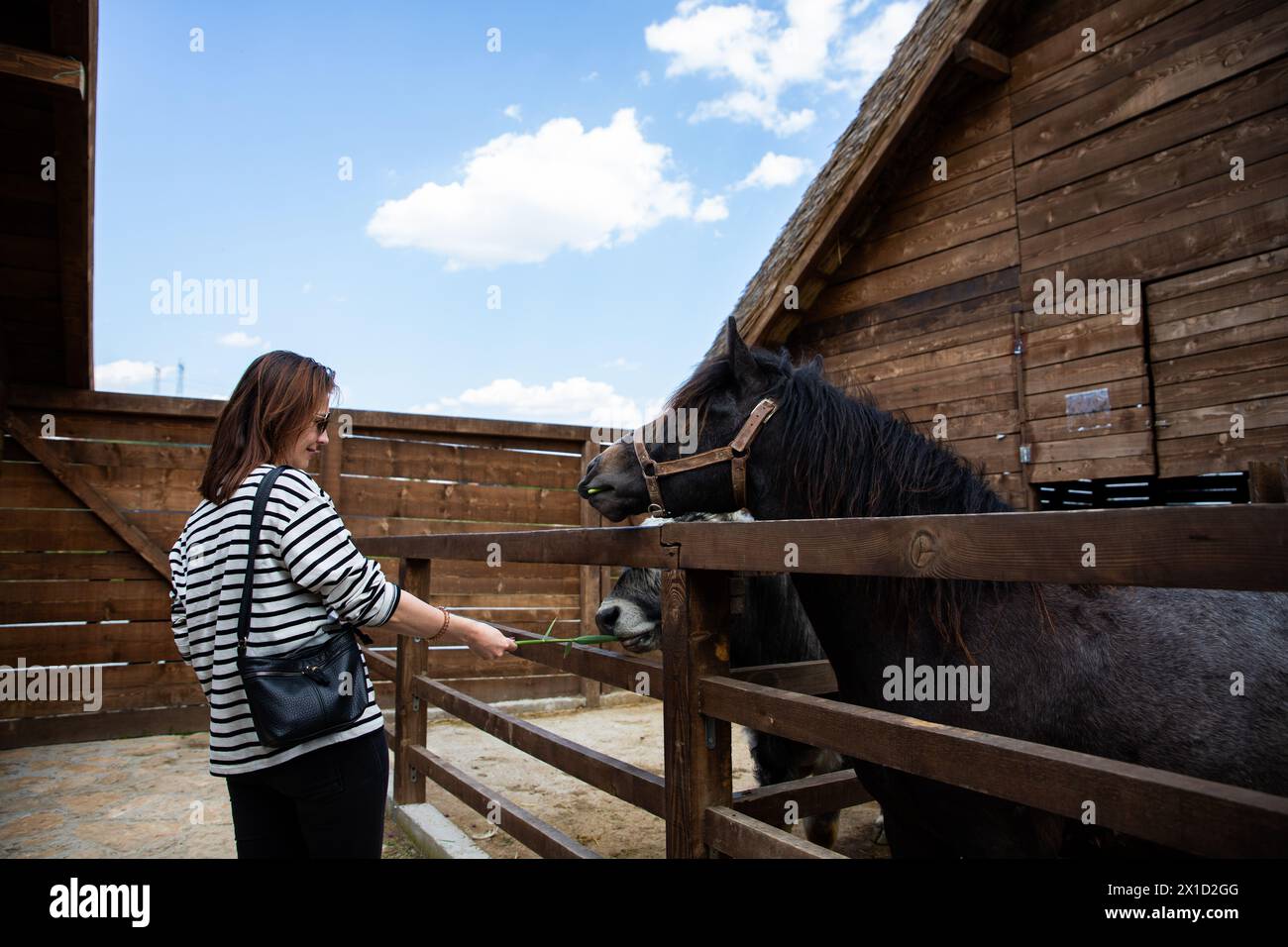 Mali dunav hi-res stock photography and images - Alamy