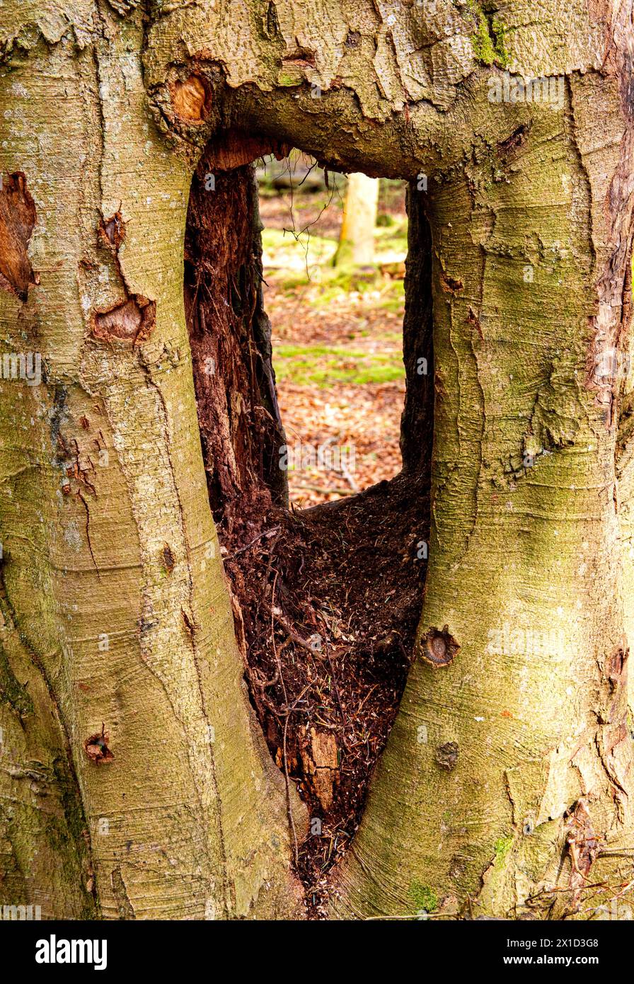 Spring sunshine provide stunning sights of wildlife, naturally shaped ...