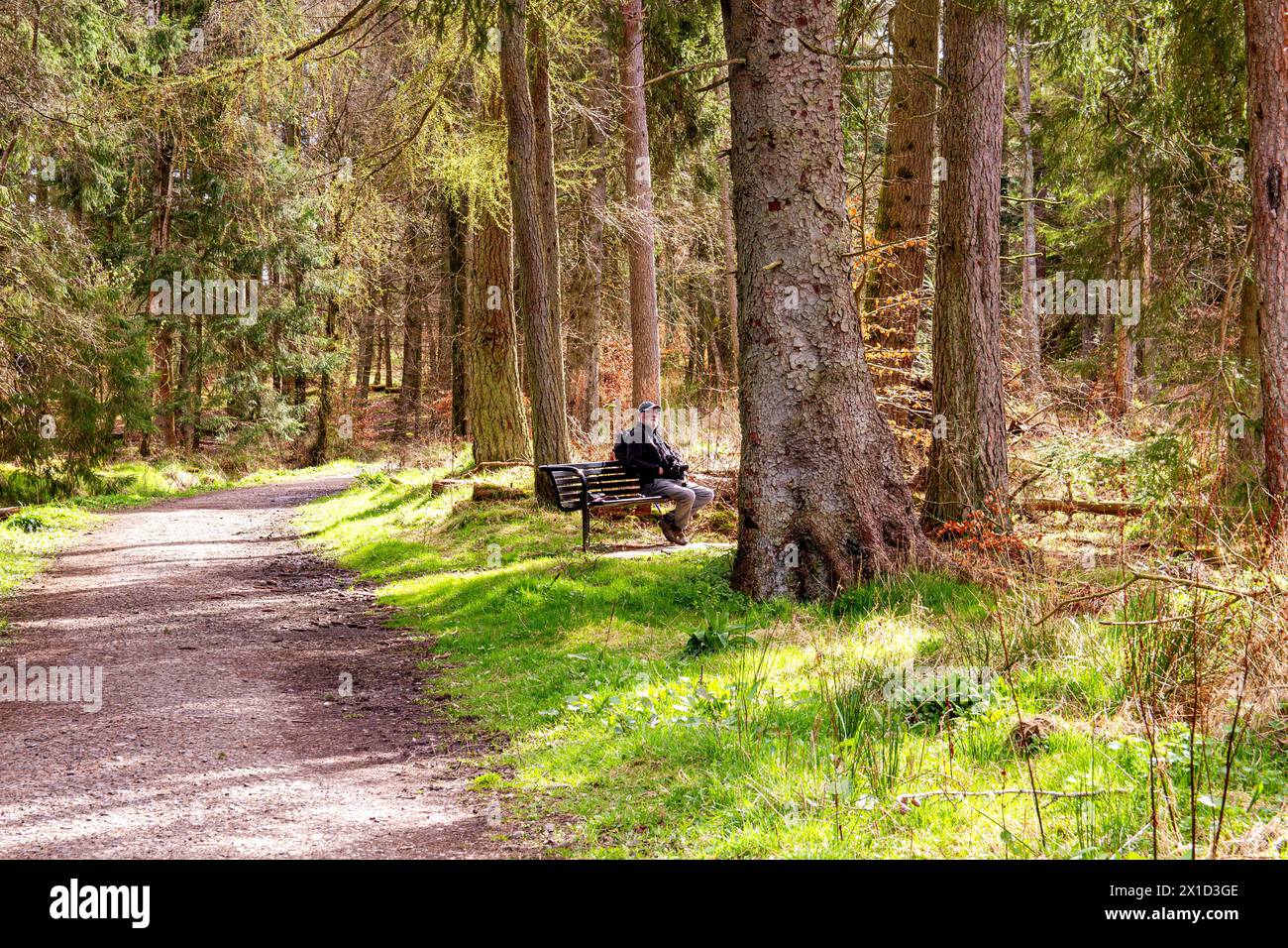 Spring sunshine provide stunning sights of wildlife, naturally shaped ...