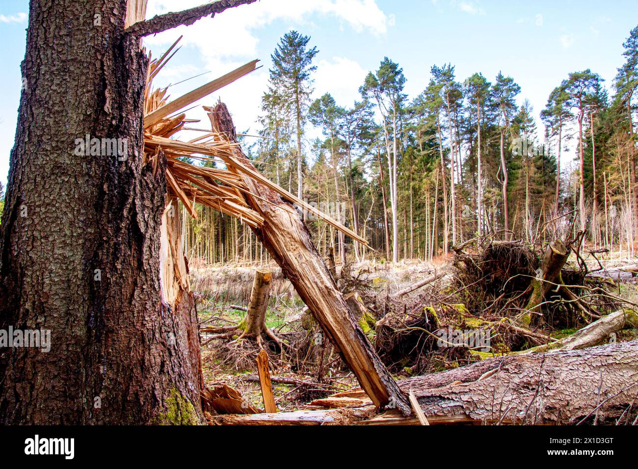 Spring sunshine provide stunning sights of wildlife, naturally shaped ...