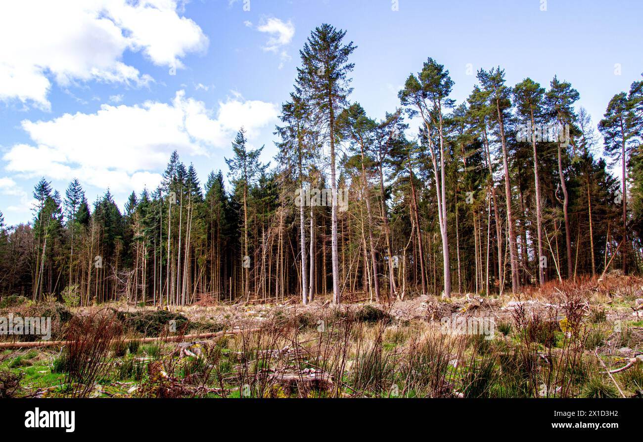 Spring sunshine provide stunning sights of wildlife, naturally shaped ...