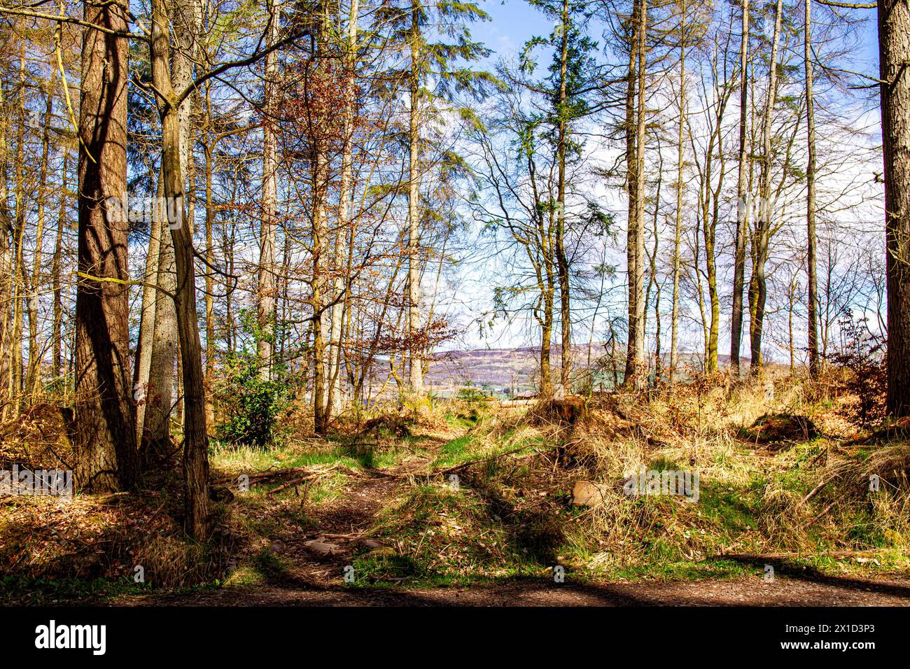 Spring sunshine provide stunning sights of wildlife, naturally shaped ...