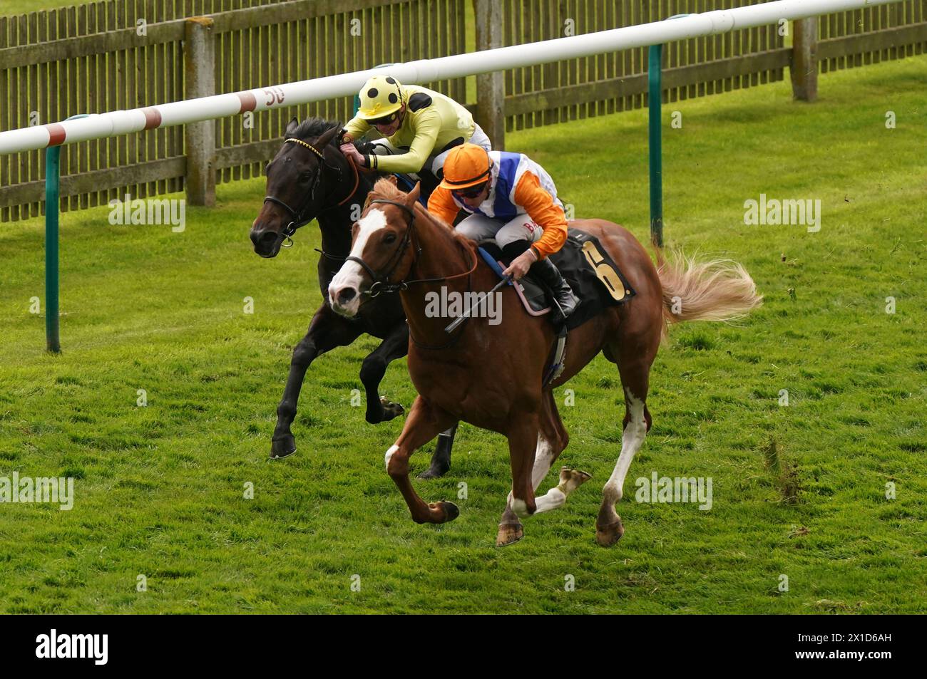 Ten bob tony horse racing hi-res stock photography and images - Alamy