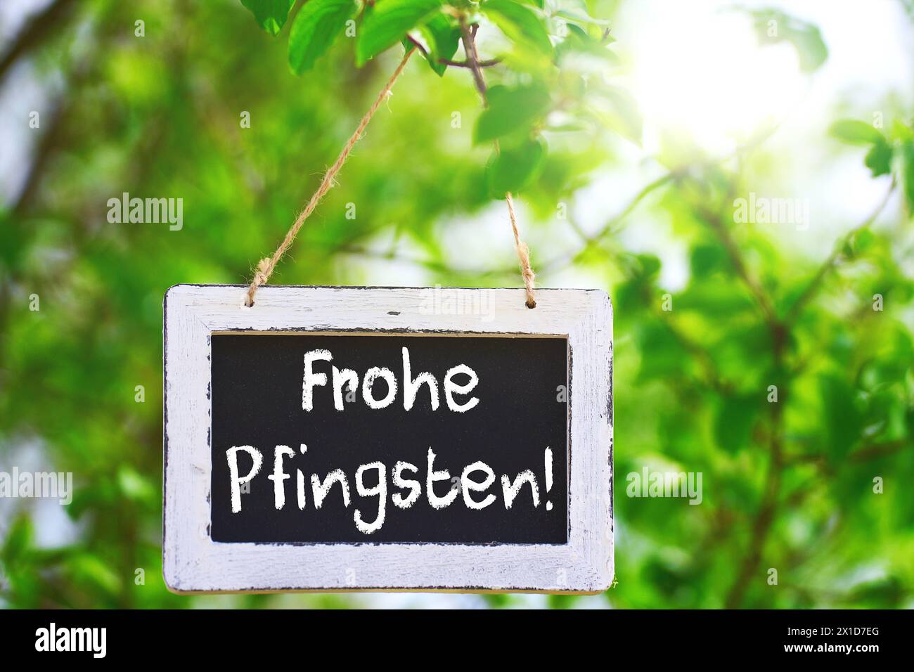 16 April 2024: Whitsun greetings: Happy Whitsun Lettering on a plaque ...