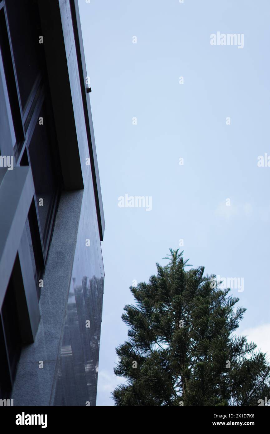 A tall gray building with black windows and tall trees against a blue ...