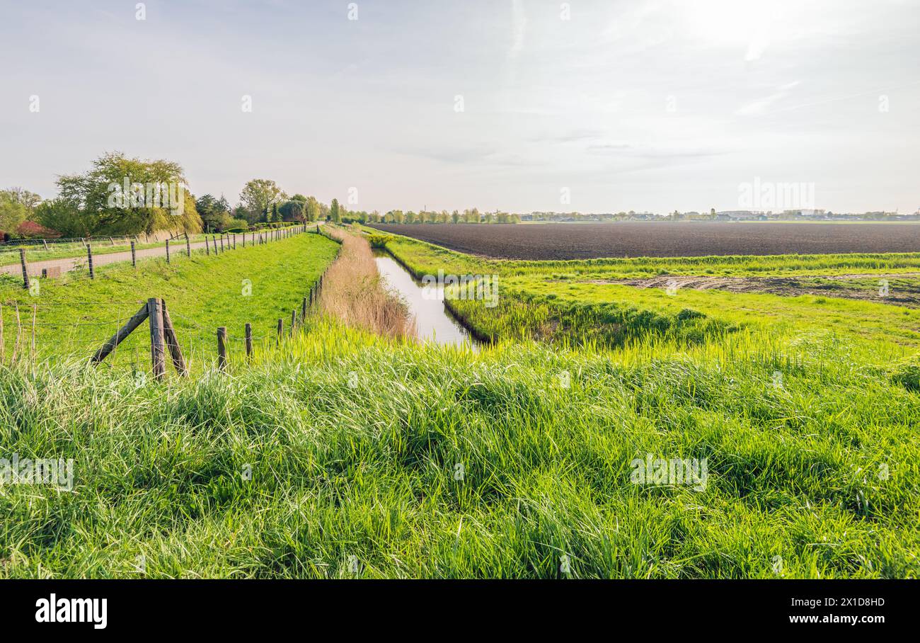 View over an extensive polder landscape in the countryside of the South ...