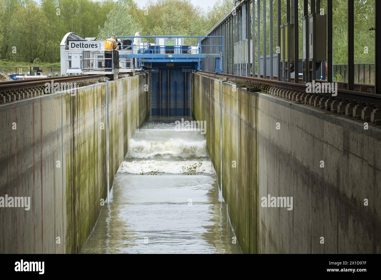 DELFT. Deltares. Test in the Delta Flume whether mangrove trees can ...