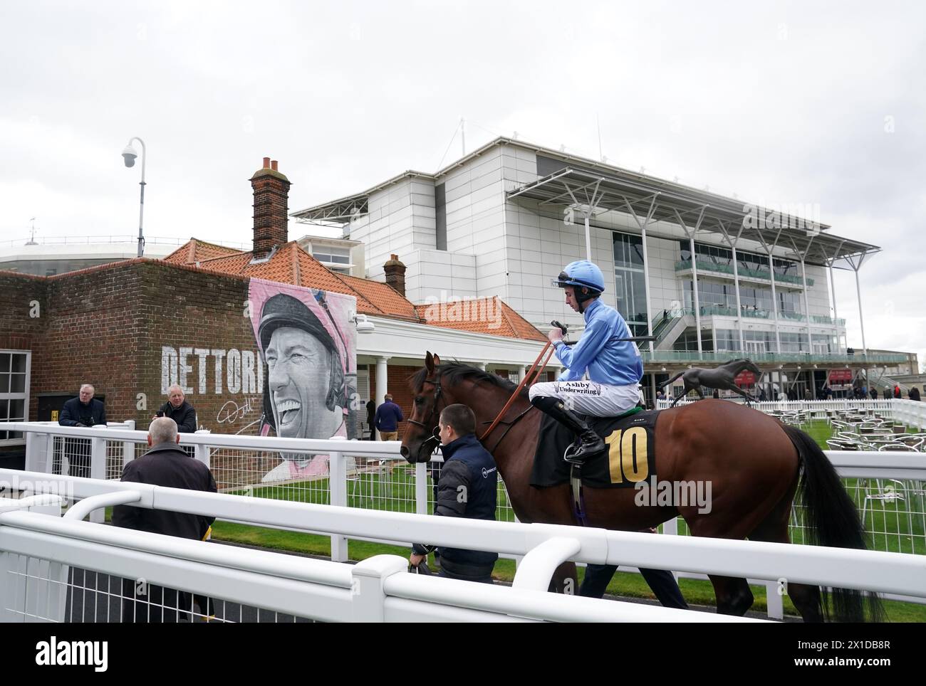 Skukuza horse hi-res stock photography and images - Alamy