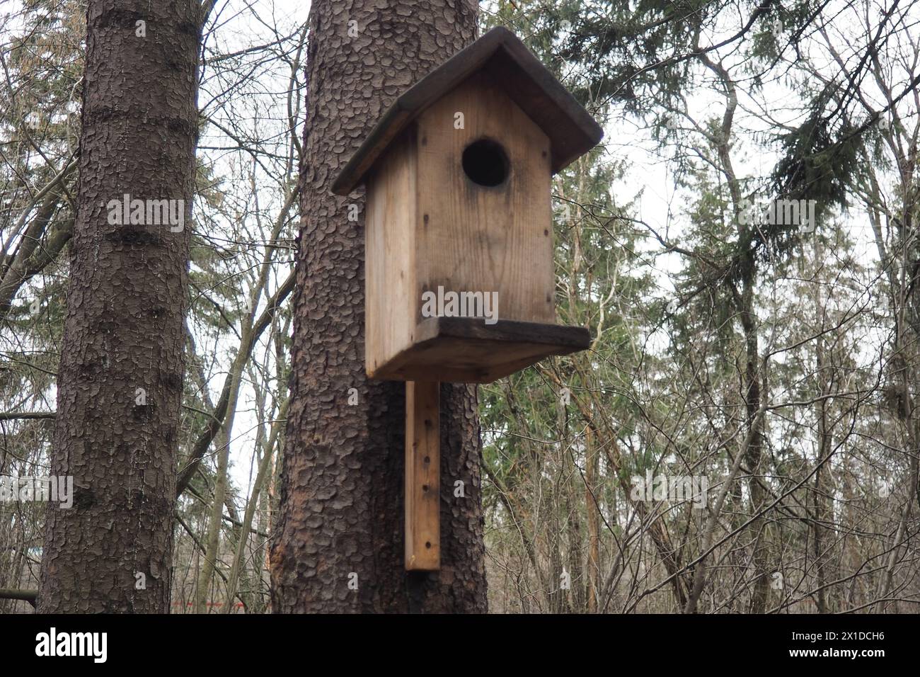 A birdhouse is a closed artificial nesting site for small birds, mainly ...