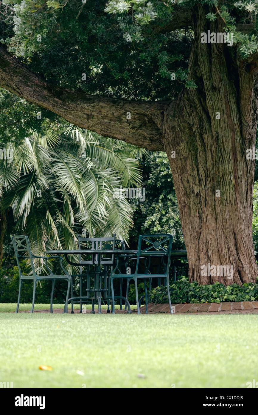 Picnic under tree hi-res stock photography and images - Alamy