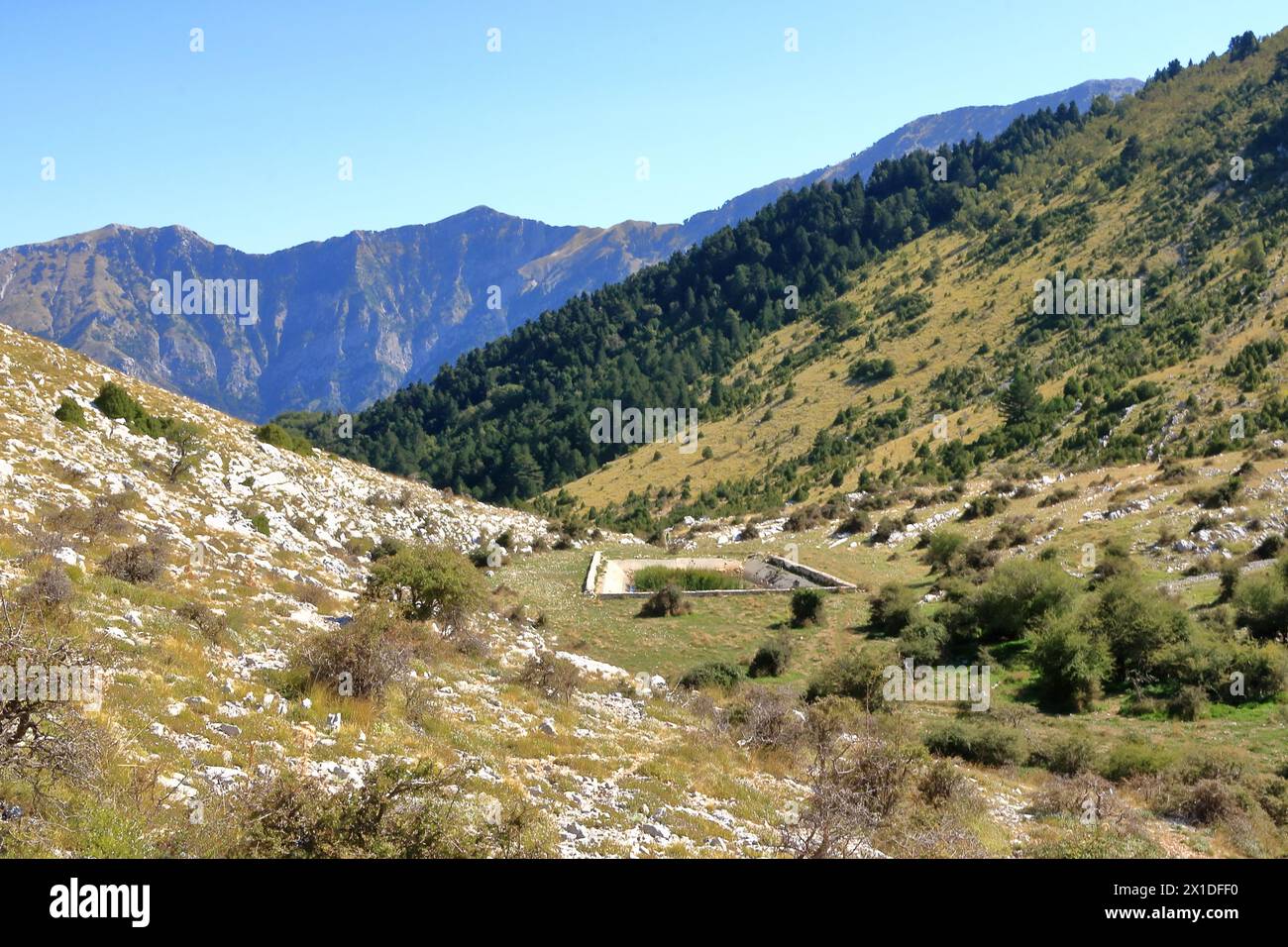 a Water basin in the middle of the Llogara National Park in Albania ...