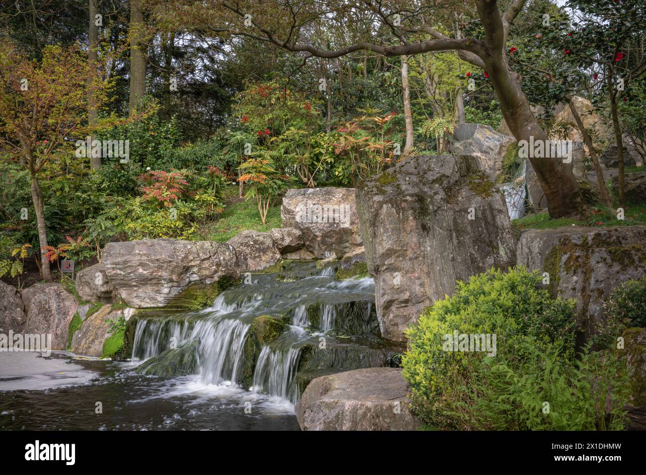 Waterfall in Kyoto Garden, a Japanese garden in Holland Park, London, UK. Holland Park is a ...