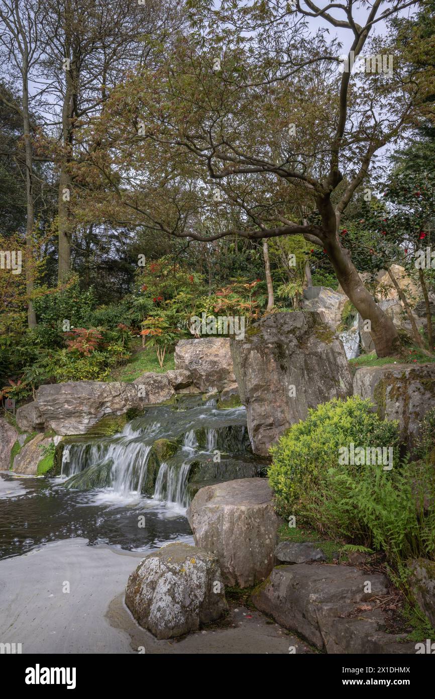 Waterfall in Kyoto Garden, a Japanese garden in Holland Park, London, UK. Holland Park is a ...