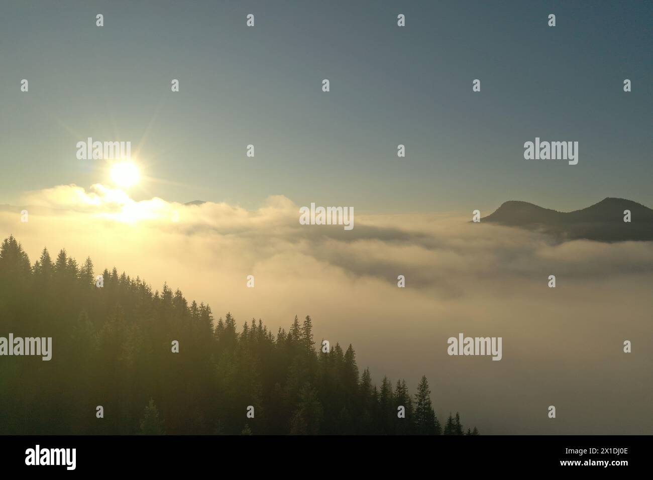 Beautiful landscape with sun over forest in misty mountains. Drone ...