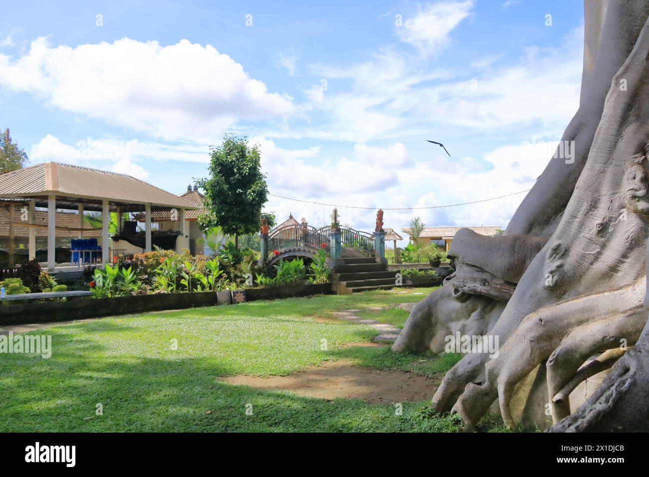 the Area around the Large Banyan ancient tree in Kayu Putih, Baru ...