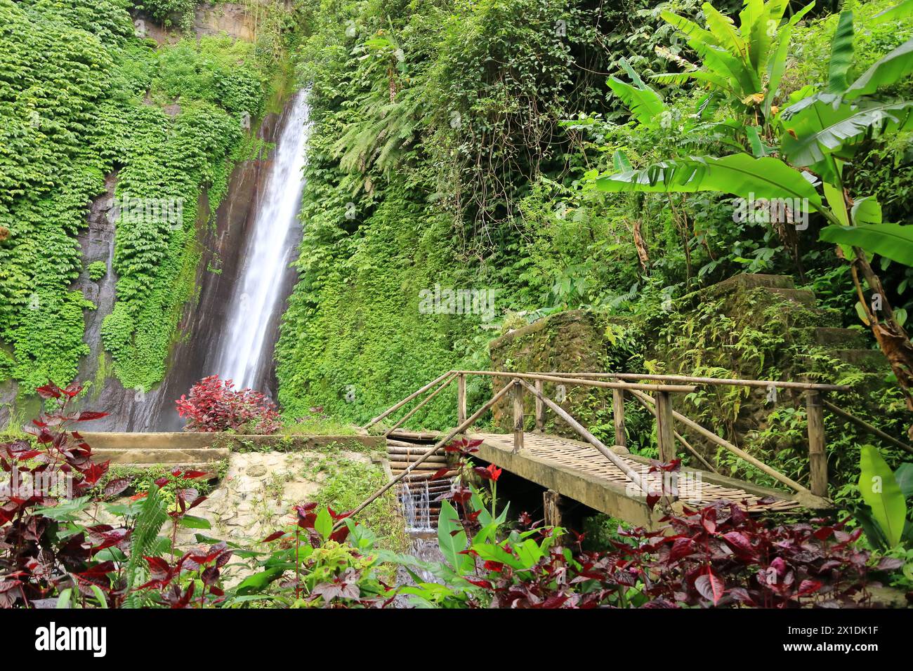 Melanting Waterfall in Munduk, Bali in Indonesia Stock Photo - Alamy