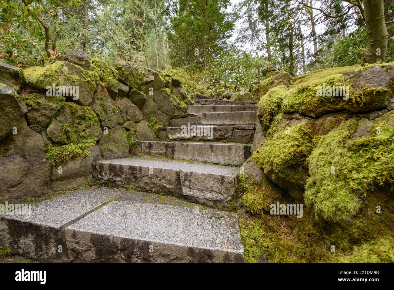 Portland stone wall hi-res stock photography and images - Alamy