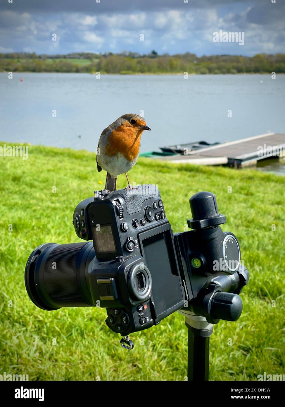 photographer in action Stock Photo - Alamy