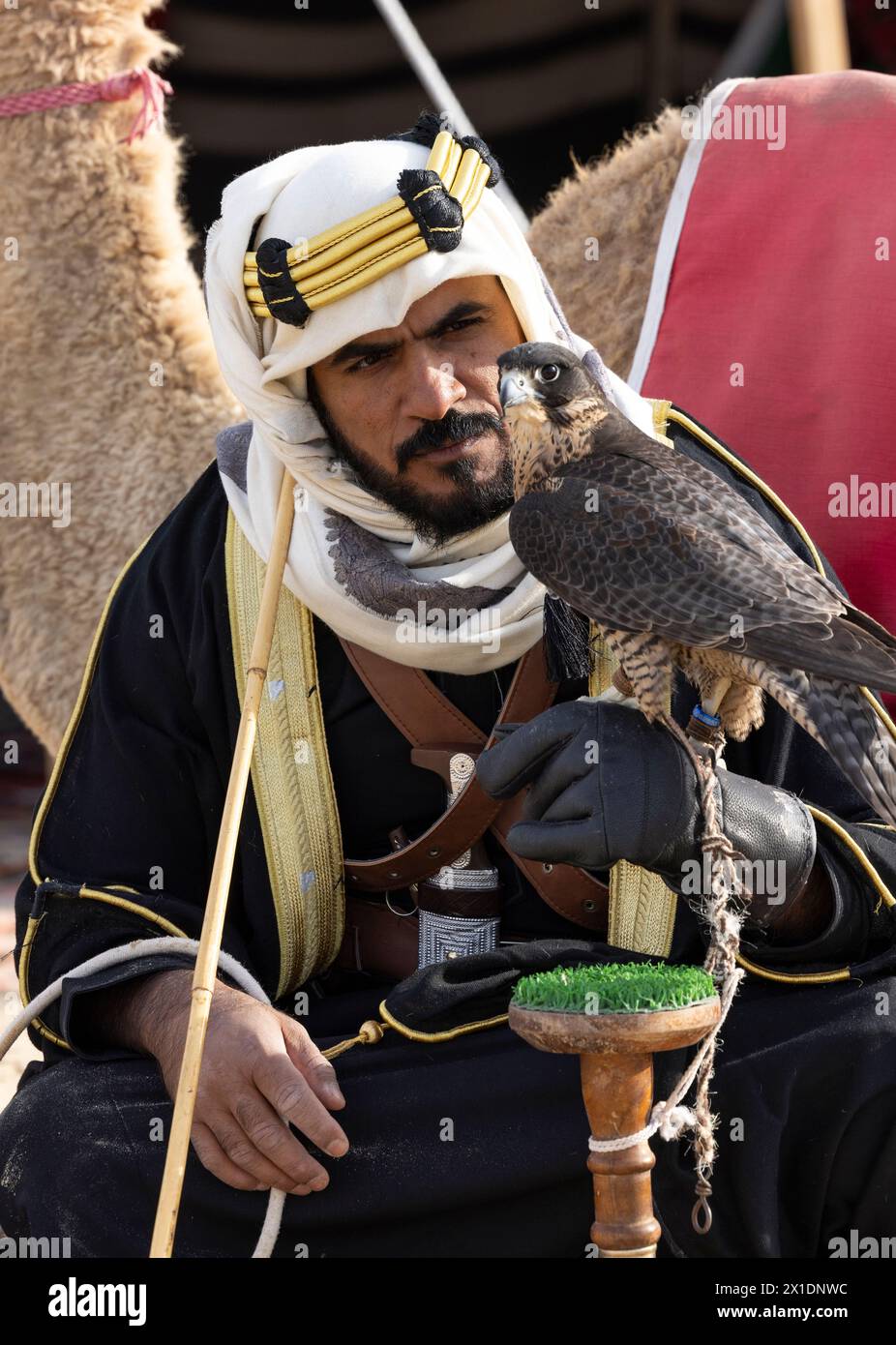 Riyadh desert falcon hi-res stock photography and images - Alamy