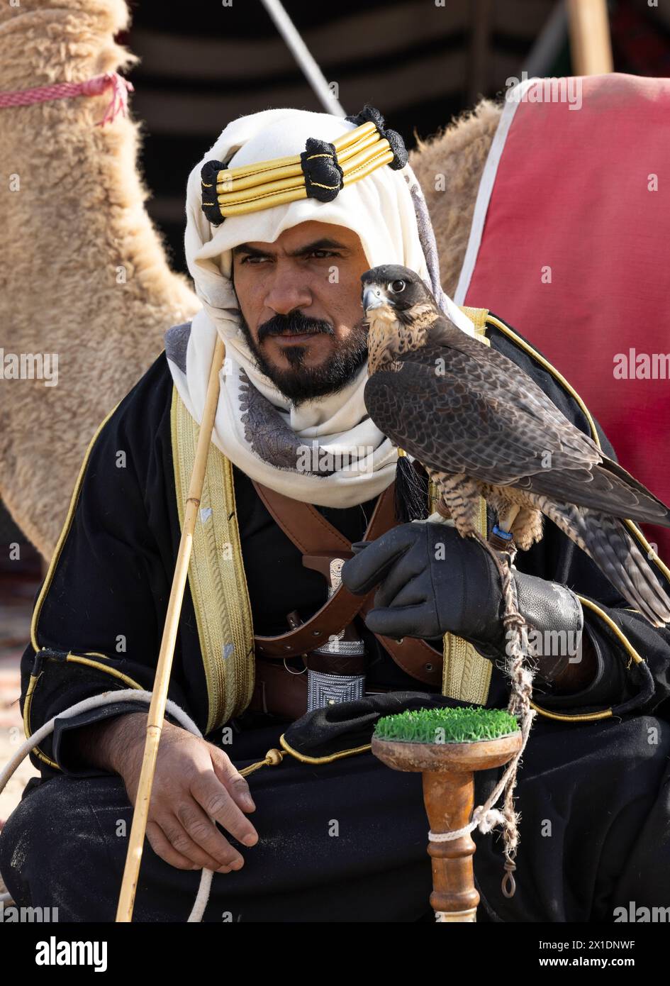 Saudi man in traditional clothing with his camel in a desert Stock ...
