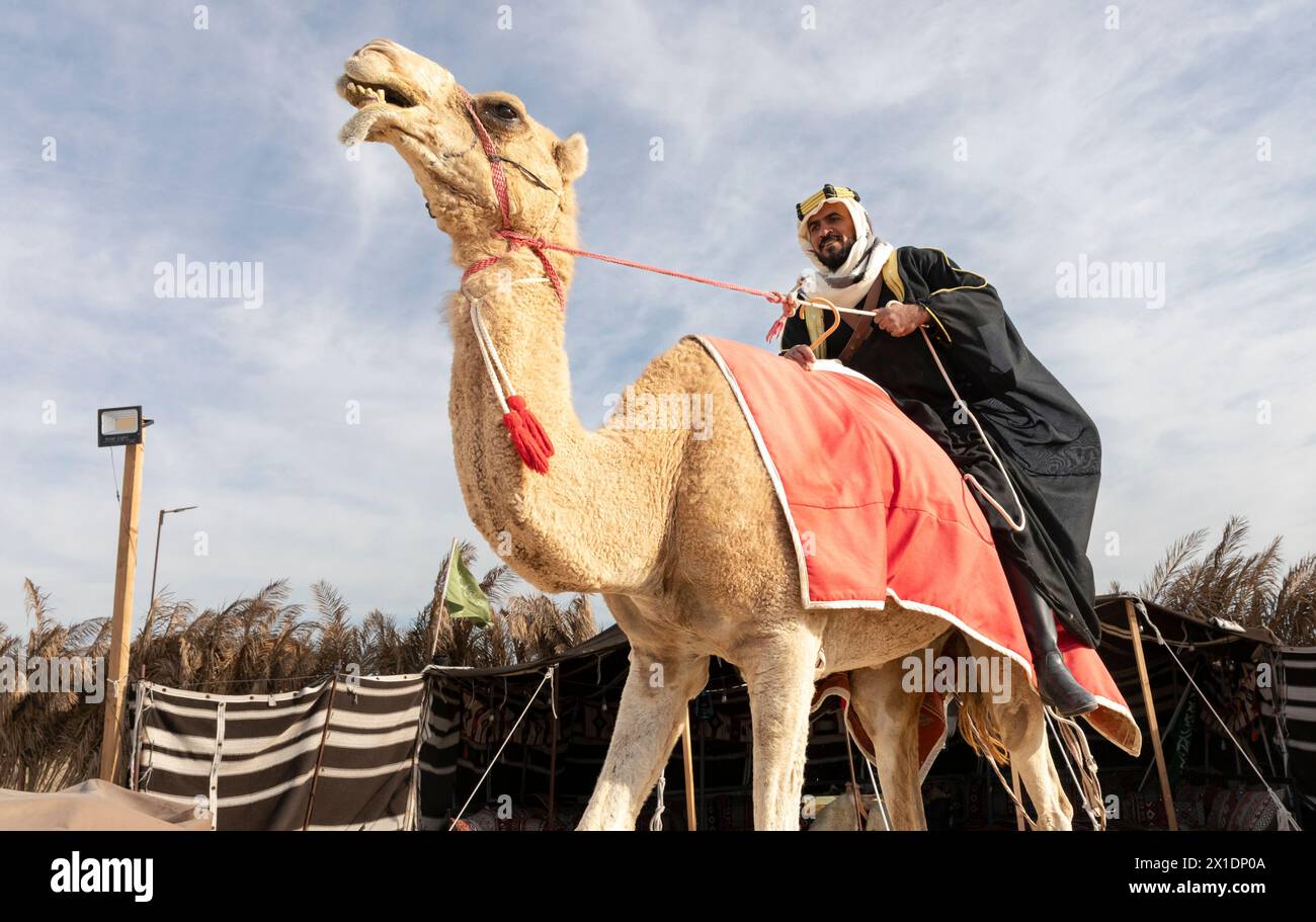 Bedouin man with his falcon and camel resting in front of his tent ...