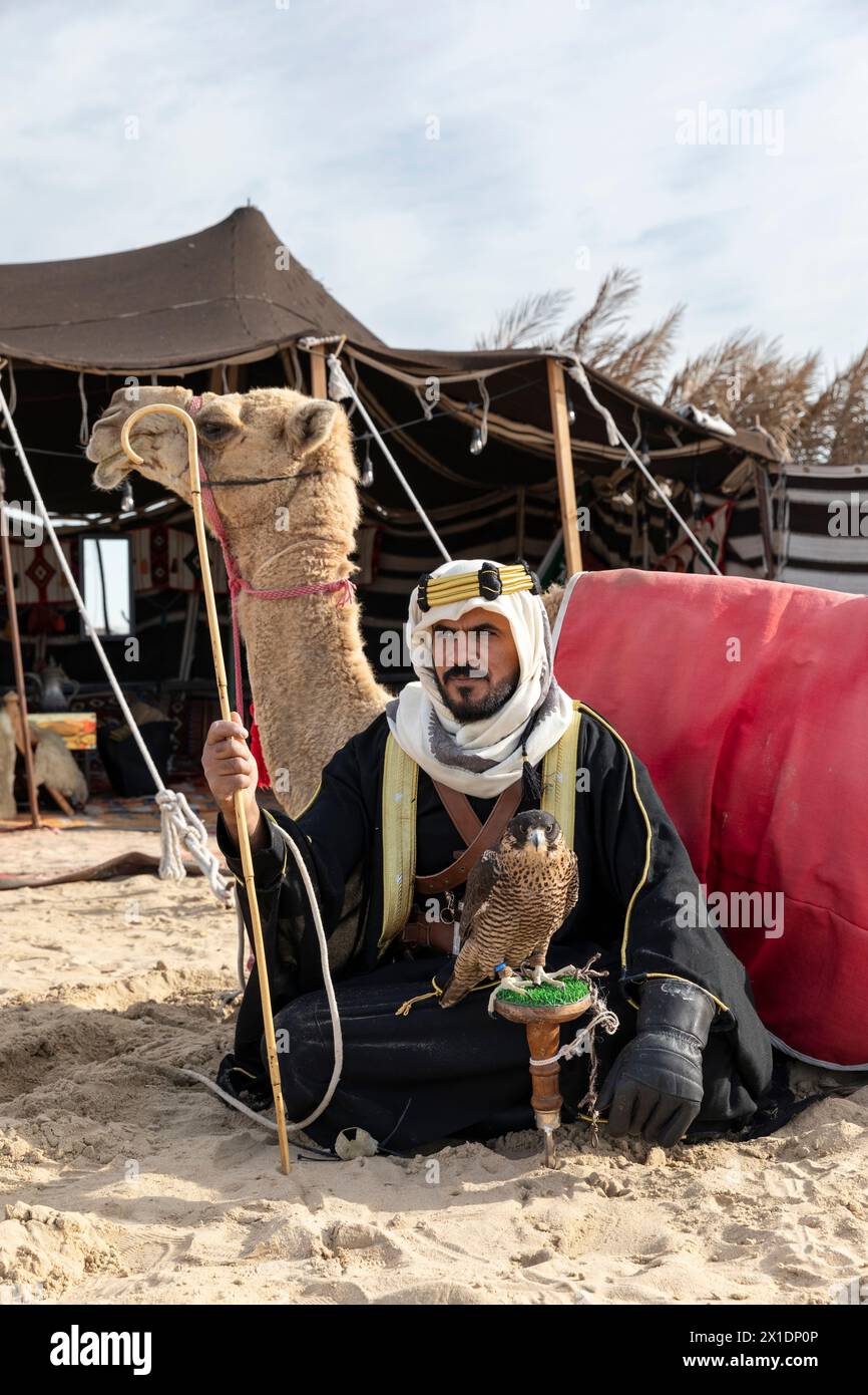 Bedouin man with his falcon and camel resting in front of his tent ...