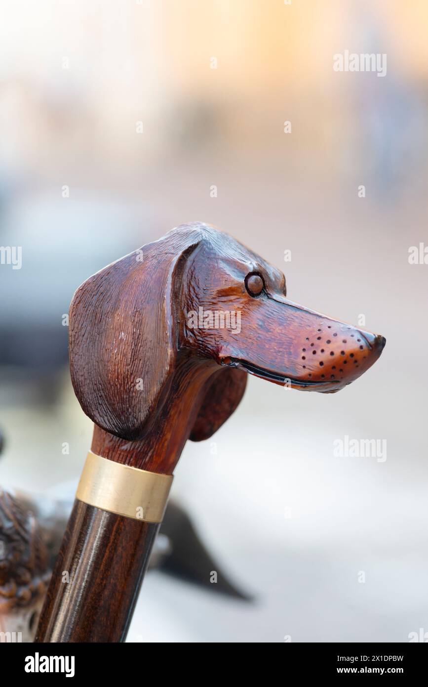 Selective focus walking stick hi-res stock photography and images - Alamy
