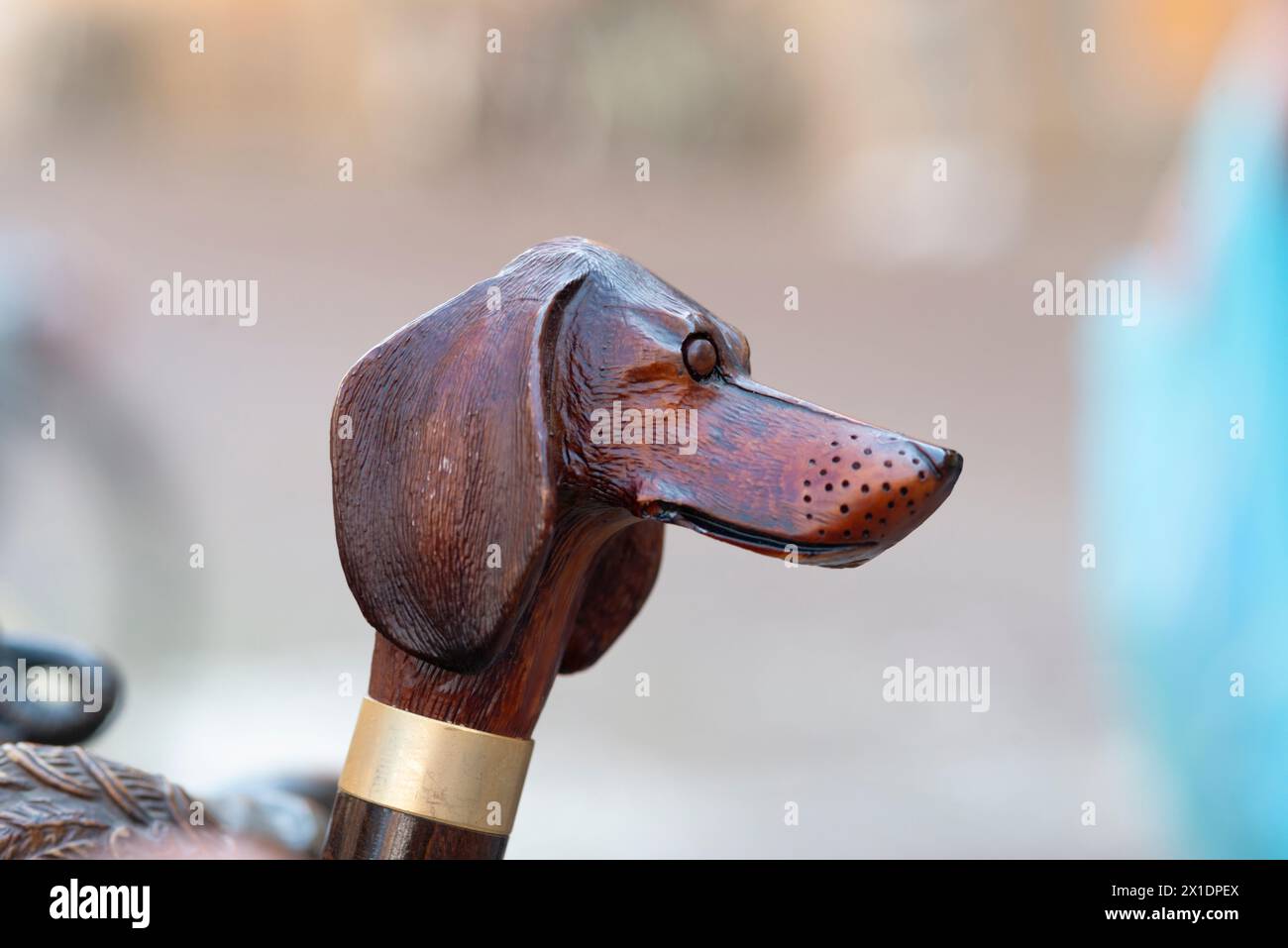 Selective focus walking stick hi-res stock photography and images - Alamy