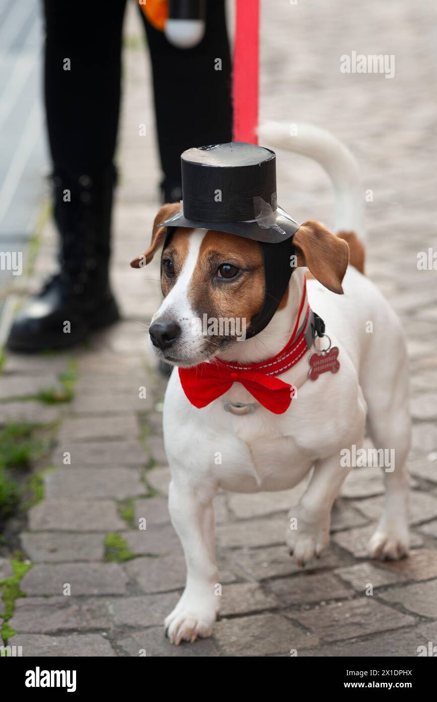 Top hat bow tie hi-res stock photography and images - Alamy