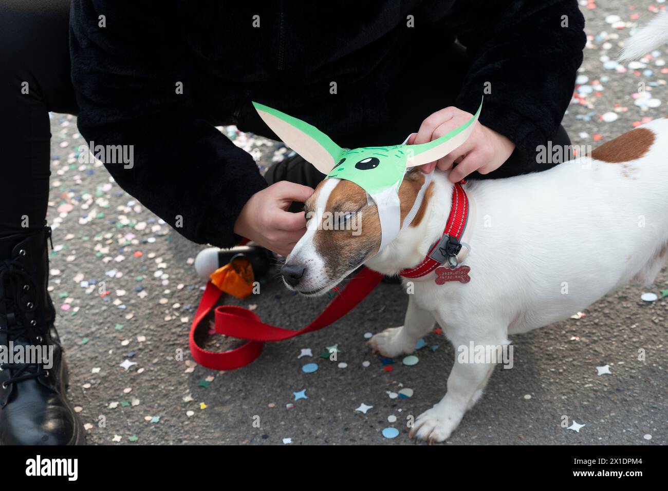 Dog in a Yoda Costume Stock Photo - Alamy