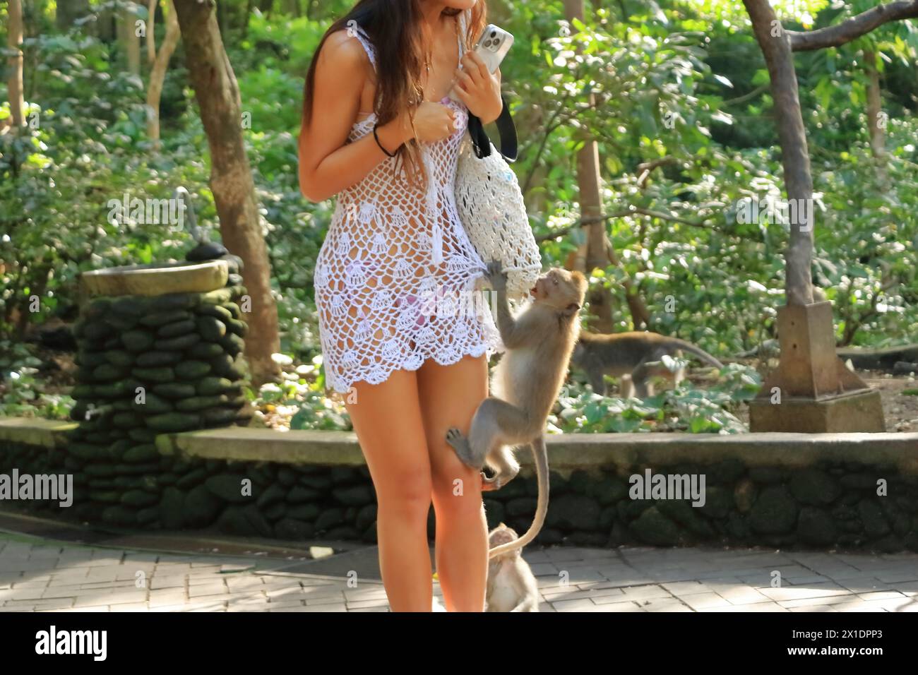 Ubud, Bali in Indonesia - January 30 2024: Tourists are taking picture ...