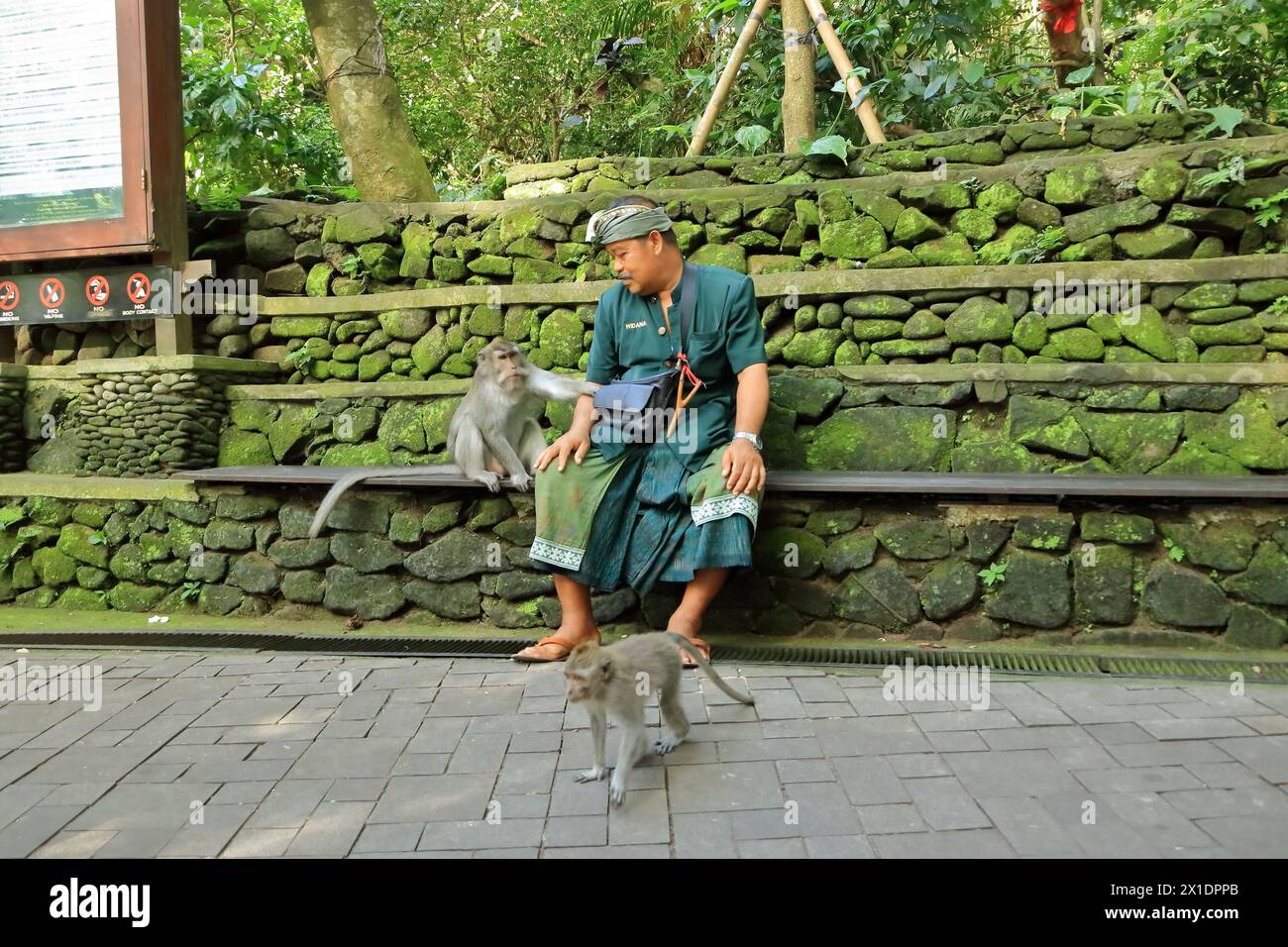 Ubud, Bali in Indonesia - January 30 2024: Tourists are taking picture ...