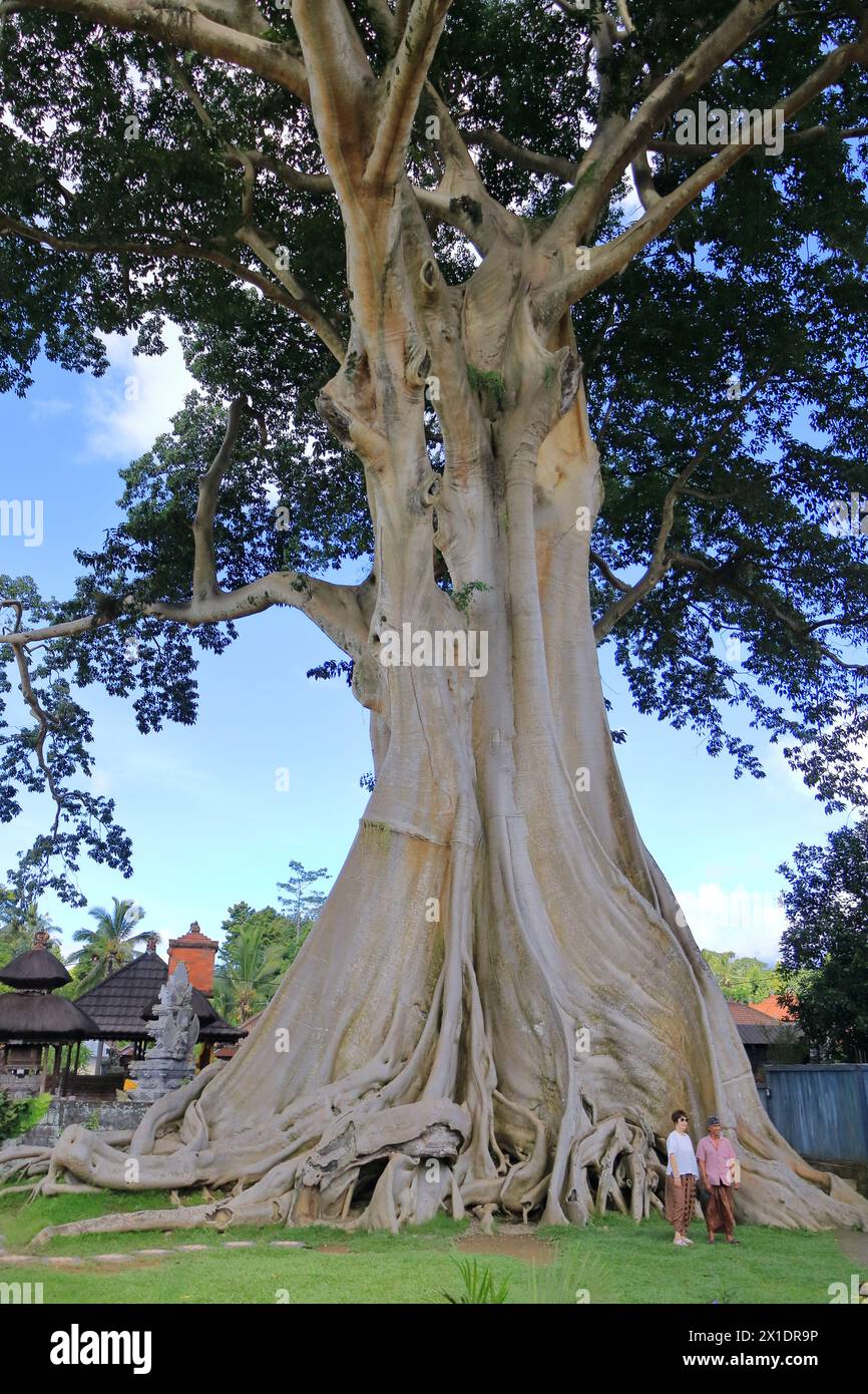 Kayu Putih, Bali in Indonesia - February 02 2024: people visit the ...