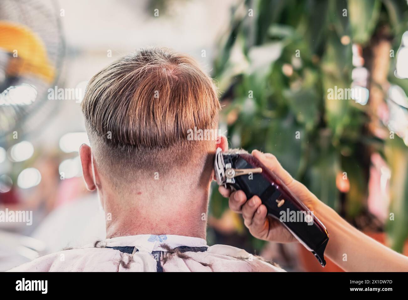 Neat young Vietnamese hairdresser makes haircut to male. Back view ...
